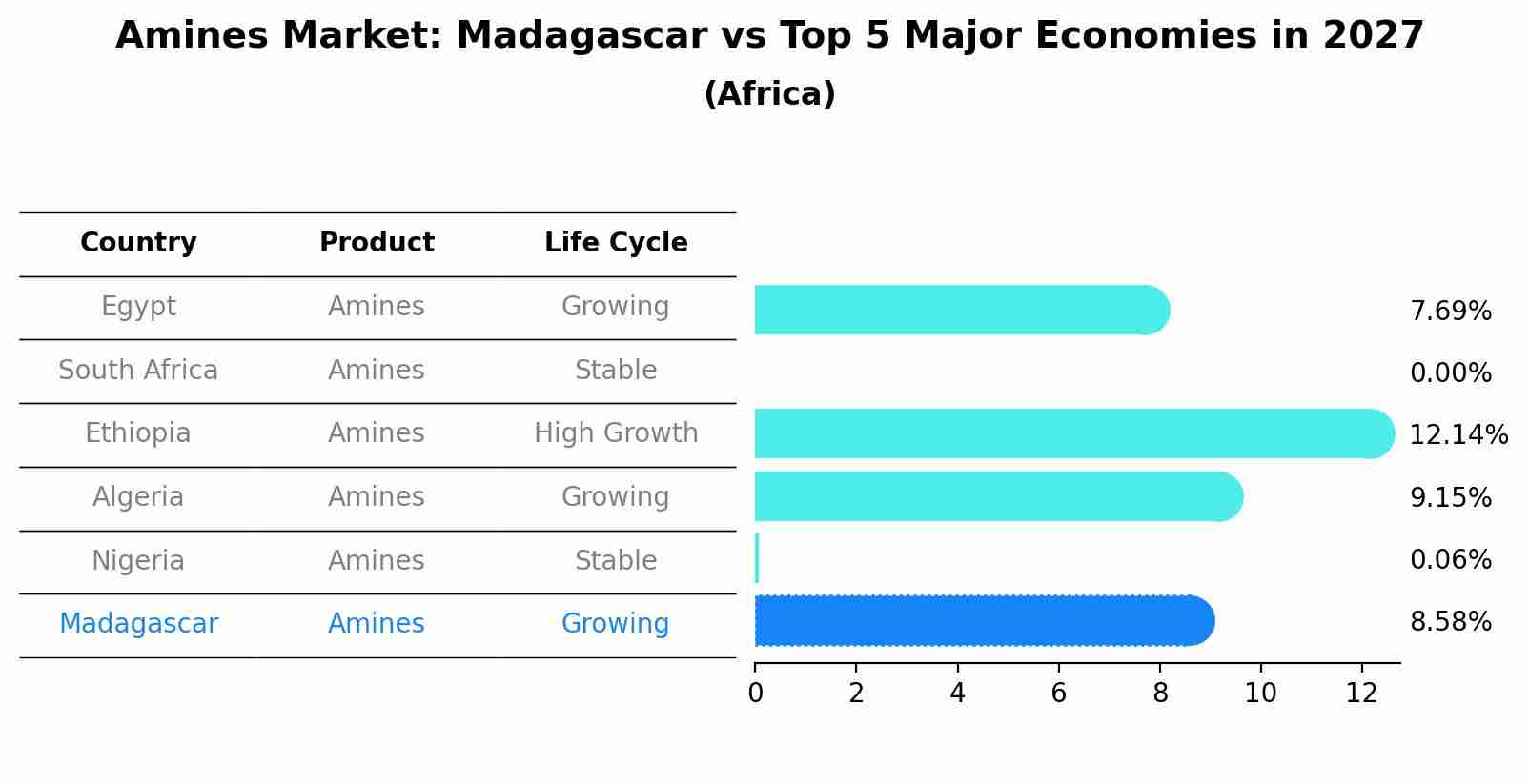 Madagascar Amines Market (2025-2031) | Share & Industry