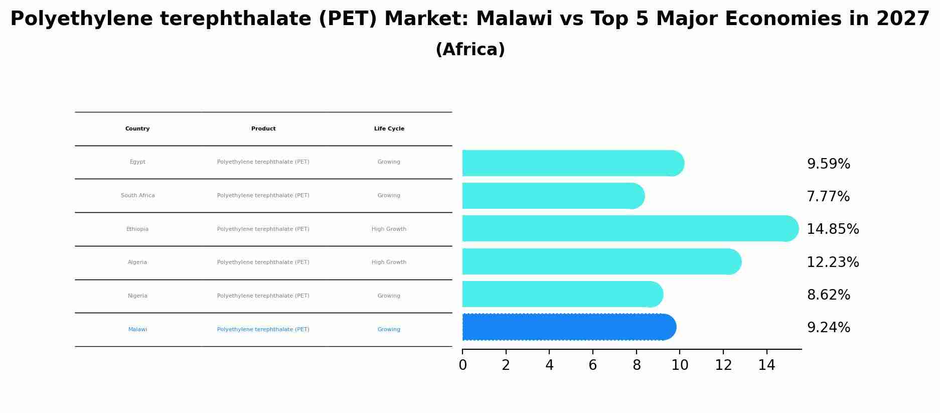 Malawi Polyethylene terephthalate (PET) Market (2025-2031) | Trends & Size